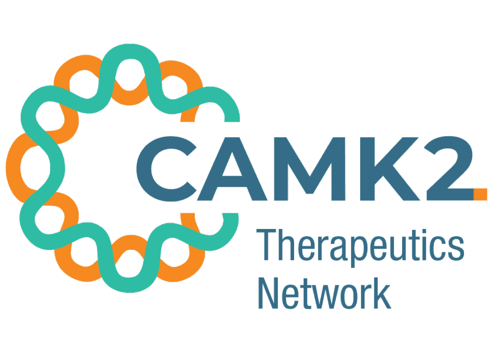 The Science of CAMK2 | CAMK2 Therapeutics Network
